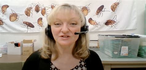 Misapplication Of Ipm And German Cockroach Infestations In The Us Pest Magazine