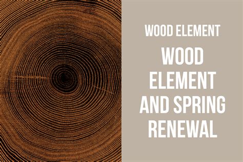 The Wood Element And Spring Renewal → Weald Chiropractic
