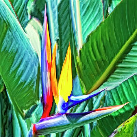 Bird Of Paradise Painting by Dominic Piperata