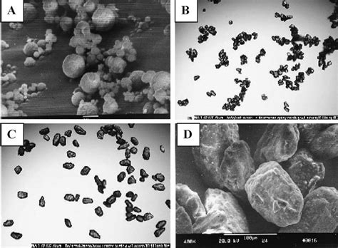 Scanning Electron Micrographs For A Spray Dried Powder Prepared From