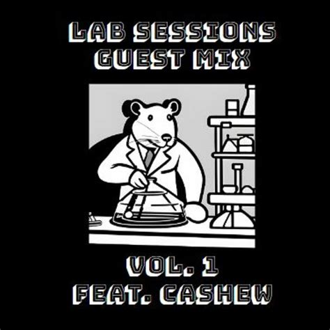 Stream Lab Sessions Presents Vol 1 Ft Cashew By The Lab Listen