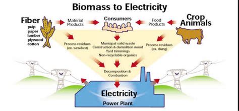 A Diagrammatic Representation Of Biomass Conversion To Elec