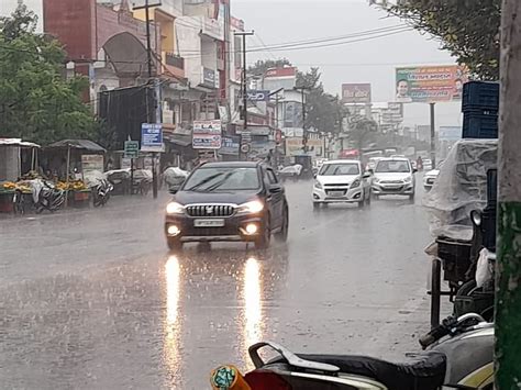 Baghpat Heavy Damage To Mustard And Wheat Crops Due To Unseasonal