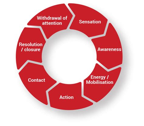 The Gestalt Approach To Organisation And Systems Development