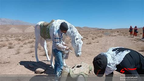 اجرای طرح رنگ آمیزی آدمک های یادآور صحنه عاشورا موکب پلیس راه ماهان