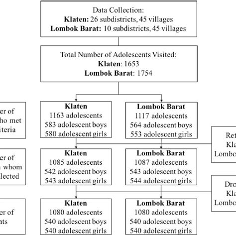 Conceptual Framework Of Nutritional Status Among Adolescents Unicef
