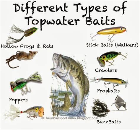 Best Times To Catch Fish And Catch Them Quick Artofit
