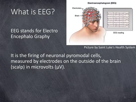 Analysing Eeg Data Using Matlab Pptx