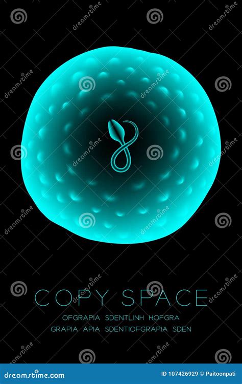 Microscope X Ray Fertilization Problem Close Up Set Sperm And Ovum Red