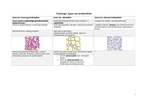 Types Bindweefsels Tabel Fysiologie Types Van Bindweefsels Basis Los