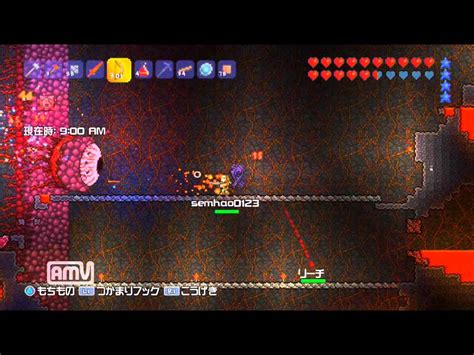 テラリア Ps3 プレイ記録 ウォール オブ フレッシュ Youtube