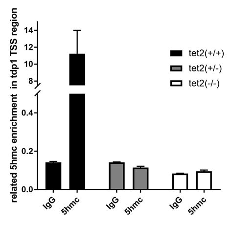 Epiquik Hydroxymethylated Dna Immunoprecipitation Hmedip Kit Epigentek