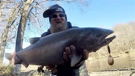 Steelhead On The Reel Michigan Anglers Steelhead Slammer Spinner