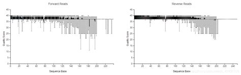 随手“一片”sci，qiime2扩增子处理流程确定不了解一下？qiime 2 Data2 Csdn博客