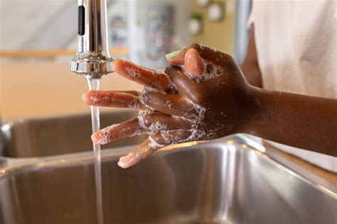 What Is An Esbl Infection Facty Health