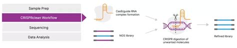 Crispr Based Ngs Library Depletion