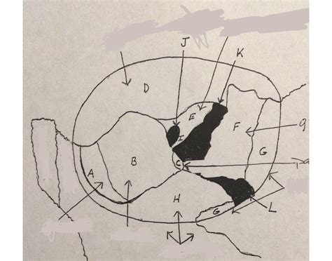 Left Orbit Bones Quiz