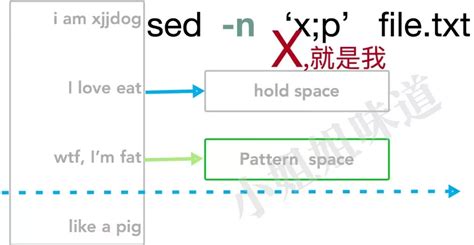Sed 高级功能我这小脑瓜都快绕晕了 知乎