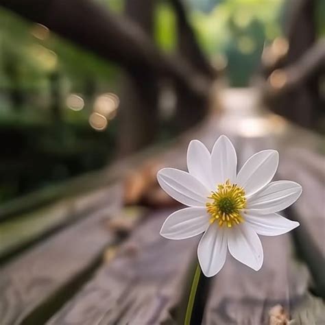 Dr Rubeena Ibrahim Dr Ruby Rubz On Threads