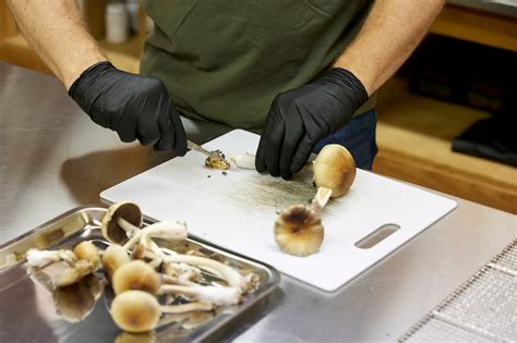 Voters Approve Bans Of Psilocybin Businesses In More Than A Dozen
