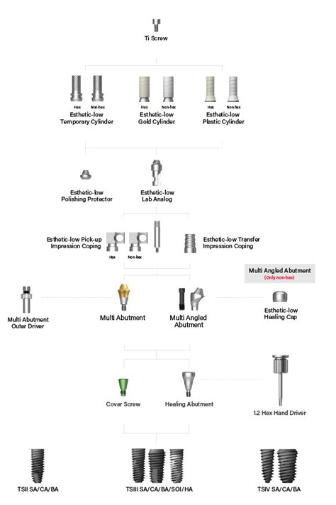 Multi Multi Angled Abutment Osstem Hong Kong