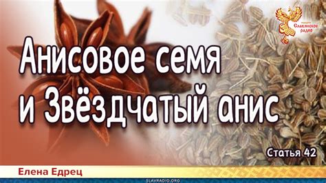 Анисовое семя и Звёздчатый анис | Народное славянское радио