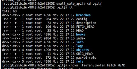 git fetch head permission denied 解决方法 付杰博客