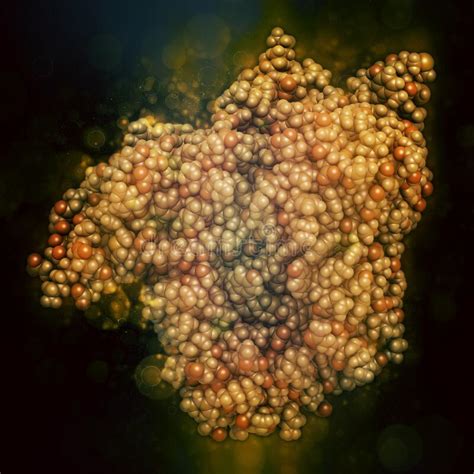 Aromatase Estrogen Synthase Enzyme Protein Responsible For The Key