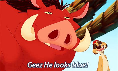 Hakuna Matata Funny  Edward Elric Wallpapers