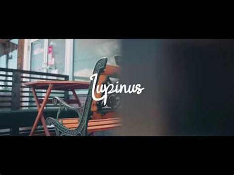 Lupus YouTube
