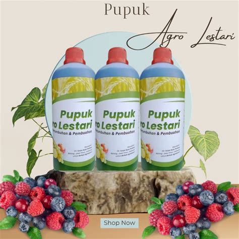Jual Pupuk Penyubur Perangsang Dan Pelebat Buah Pupuk Agro Lestari