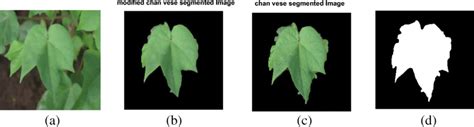 A Bilateral Filtered Image B Modified Chan Vese Segmented Image C Chan