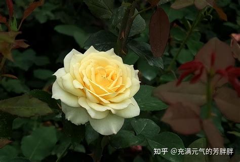 异性相处，男女间的“越界”，往往是从这些“默许”开始的 知乎