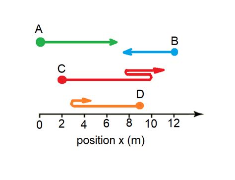 find the following for path c in figure mentioned the magni quizlet