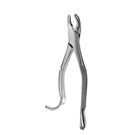 Forcep N° 18 R Dental America Distribuidora De Equipos Odontológicos
