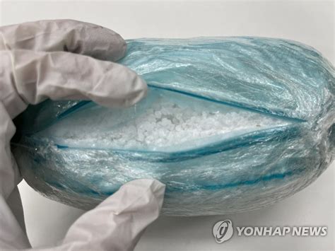 클럽 마약 20만명분 속옷에 숨겨 밀수일당 구속기소 연합뉴스