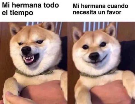 Herunterladen Memes Graciosos Memes Para Tu Hermana
