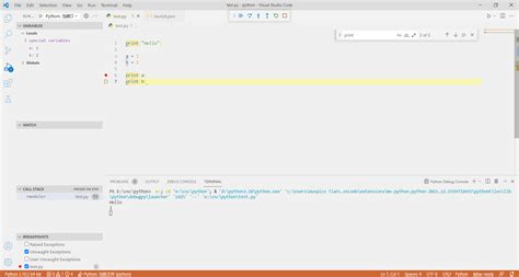 vscode配置 AmosTian