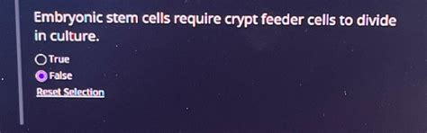 Solved Embryonic Stem Cells Require Crypt Feeder Cells To Chegg