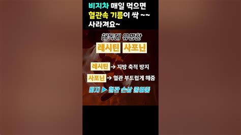 비지차 매일 먹으면 혈관속 기름 싹~ 사라진다 Youtube