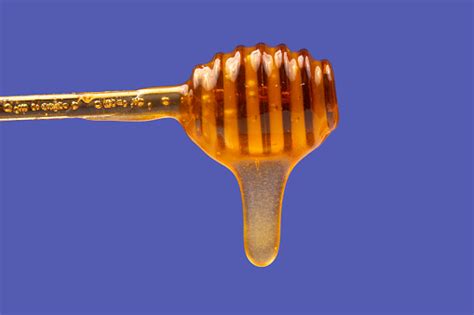 푸른 배경에 숟가락에서 떨어지는 신선한 꿀 유기농 비타민 건강 식품 꿀에 대한 스톡 사진 및 기타 이미지 꿀 끈적거리는 노랑 Istock