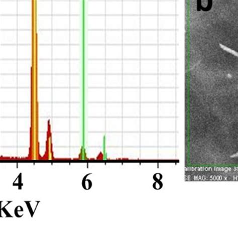 Graph Linear Sweep Voltammetry Lsv A Tio2 Ti Electrode B Download Scientific Diagram