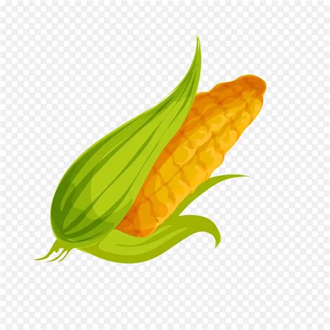 卡通黄色玉米棒子png图片素材下载图片编号ykbmjxbq 免抠素材网