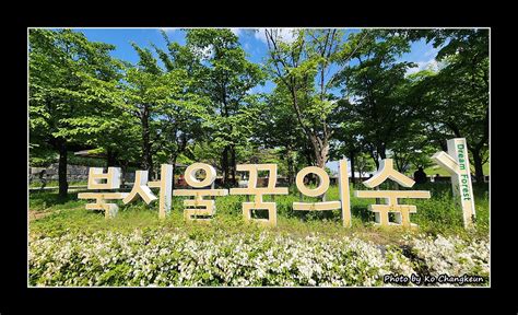 노원과 친구들 서울 강북 북서울꿈의숲 산책 Daum 카페