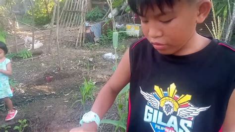 UHAW SA TUBIG Pag Dilig Ng Halaman YouTube