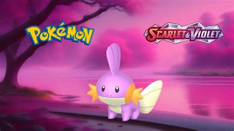 Shiny Mudkip Pokemon Scarlet And Violet Indigo Disk Legendary Pokemon