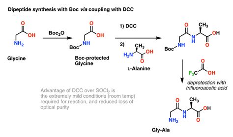 Solved Dipeptide Synthesis With Boc Via Coupling With Dcc