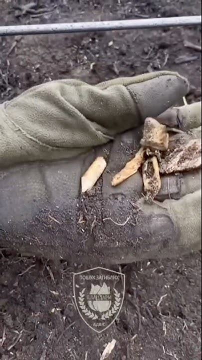 Пошук Загиблих та Зниклих безвісти алексейюков плацдармславянск Youtube