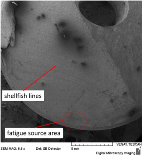 Fracture Morphology Of A1 Area Download Scientific Diagram