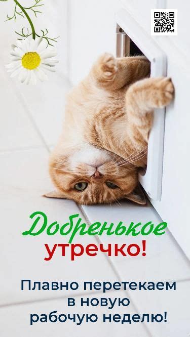 Доброе утро понедельника